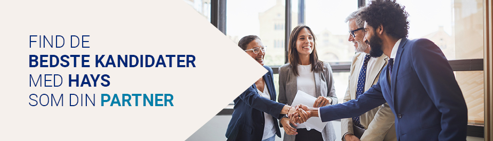 Rekruttering af Softwareudviklere | Hays